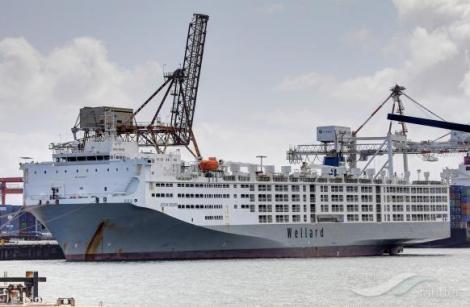 El buque de transporte de ganado MV Ocean Drover | VA DE BARCOS