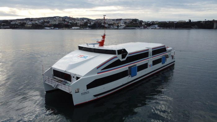 El ferry eléctrico Cegonha-Branca de Gondán lidera el futuro sostenible ...