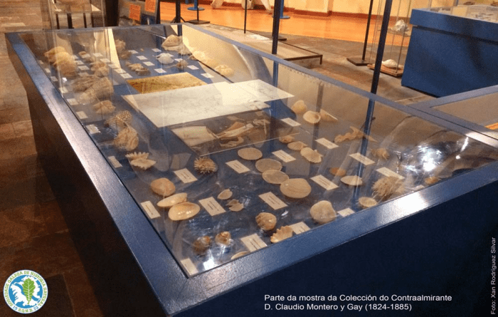 Claudio Montero y Gay, el marino naronés de la colección de 3.000 ...